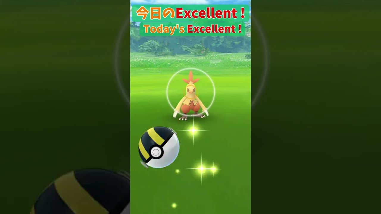 【Pokémon GO】Today's Excellent ! ワカシャモ(Combusken) #Shorts - Pokémon Charts