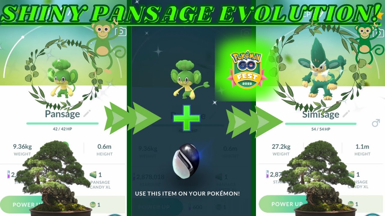 🌿💚 🐒SHINY PANSAGE EVOLVED INTO SIMISAGE IN POKÉMON GO!🐒 💚🌿 - Pokémon Charts