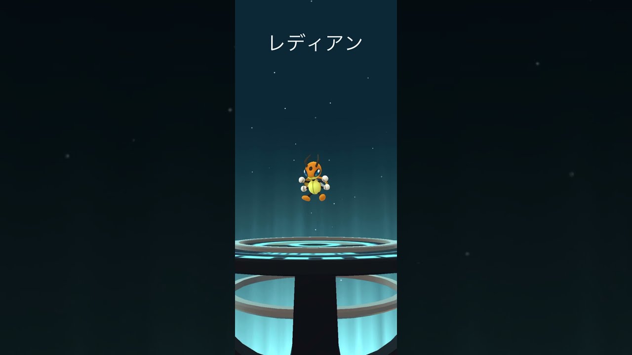 【Pokémon GO】Shiny Ledyba → Ledian Evolve 🔥 - Pokémon Charts
