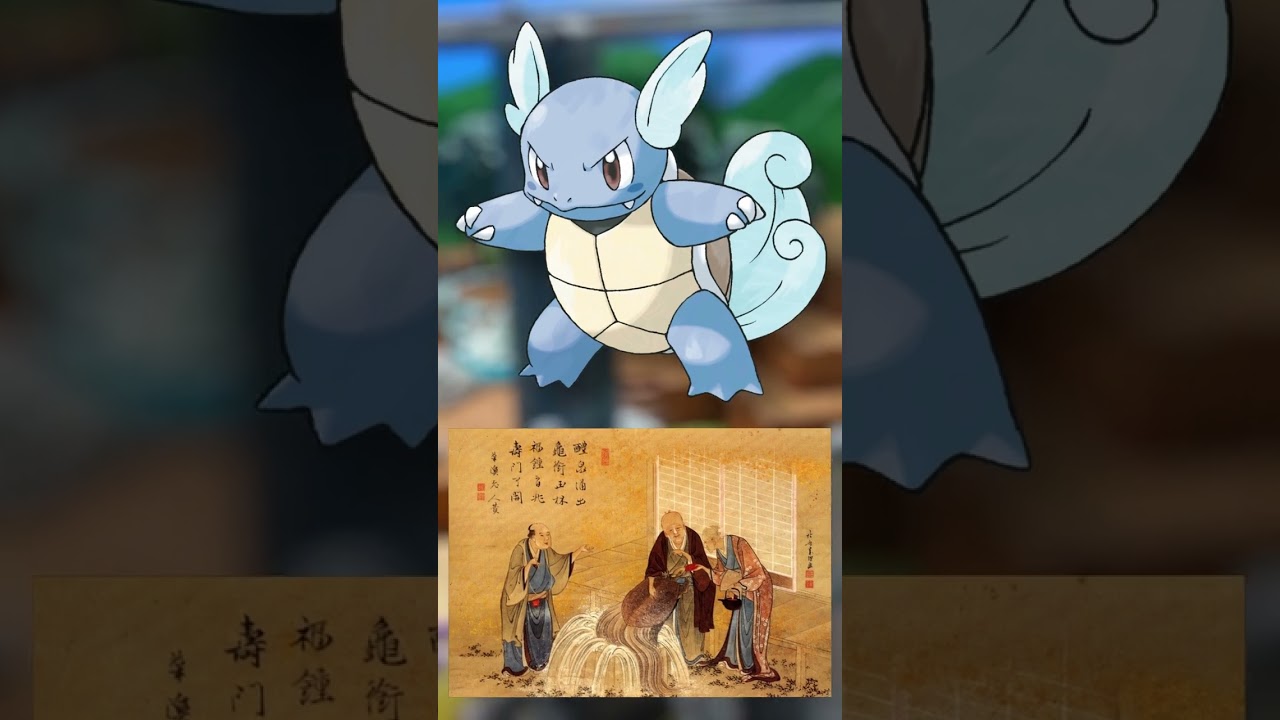 WTF is Wartortle?! | EVERY Pokémon Design Explained - Pokémon Charts