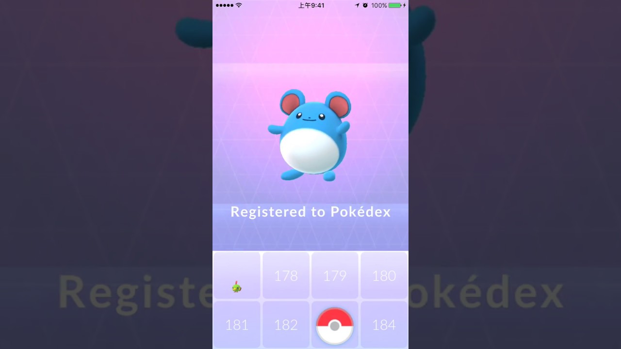 Pokemon GO Gen 2 !! Pokedex 183 MARILL マリル 瑪力露 馬利露 - Pokémon Charts